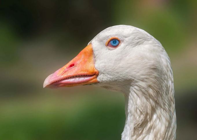 New Page 1 [www.radschool.org.au]